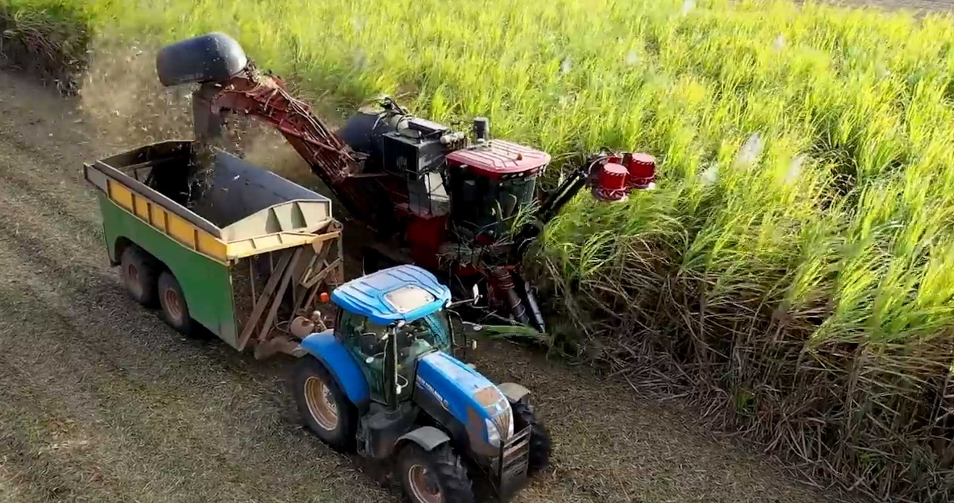 CSC Group Australia | More Than 45 Yrs. of Delivering Excellence